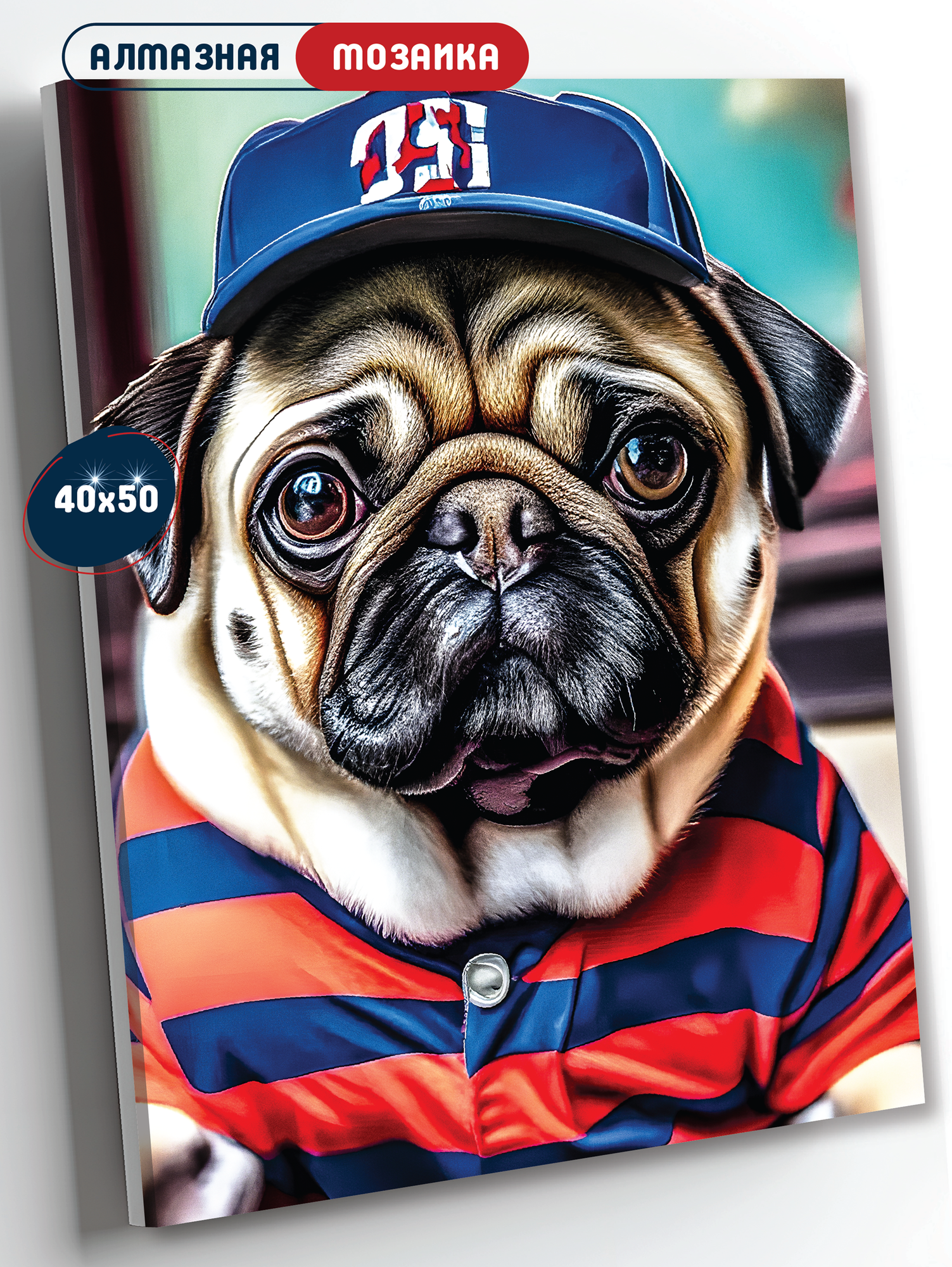 Алмазная мозаика на подрамнике "Мопс в одежде" 40х50 Полная выкладка