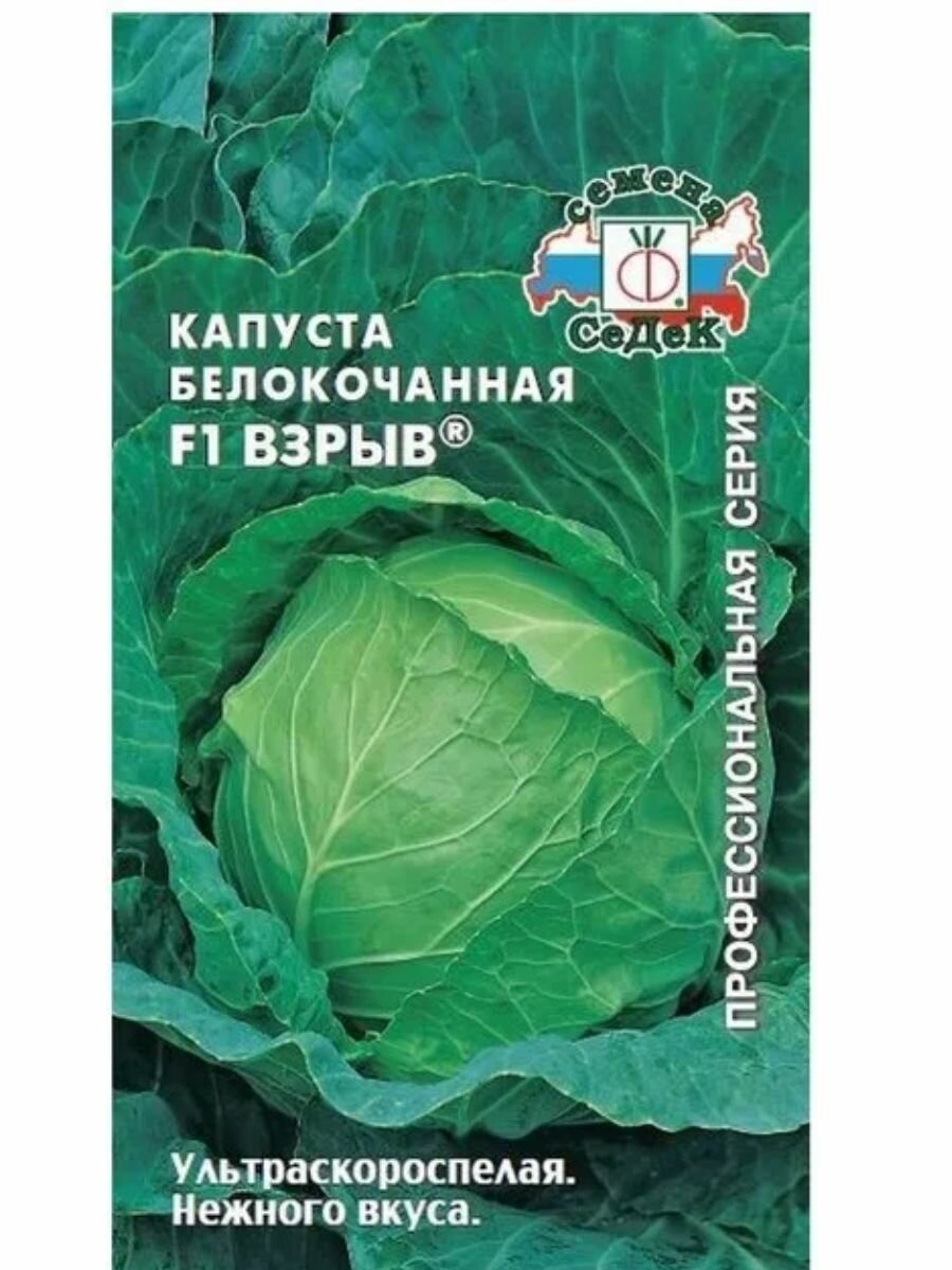 Семена капусты белокочанная Взрыв F1 0,2 г, ультроскороспелая нежного вкуса