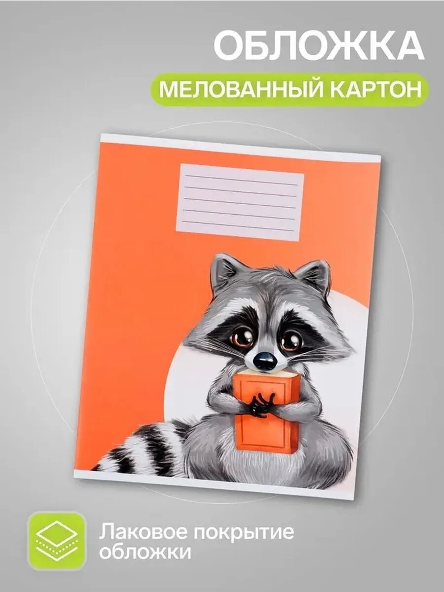 Набор стильных тетрадей с енотами, 10 шт.