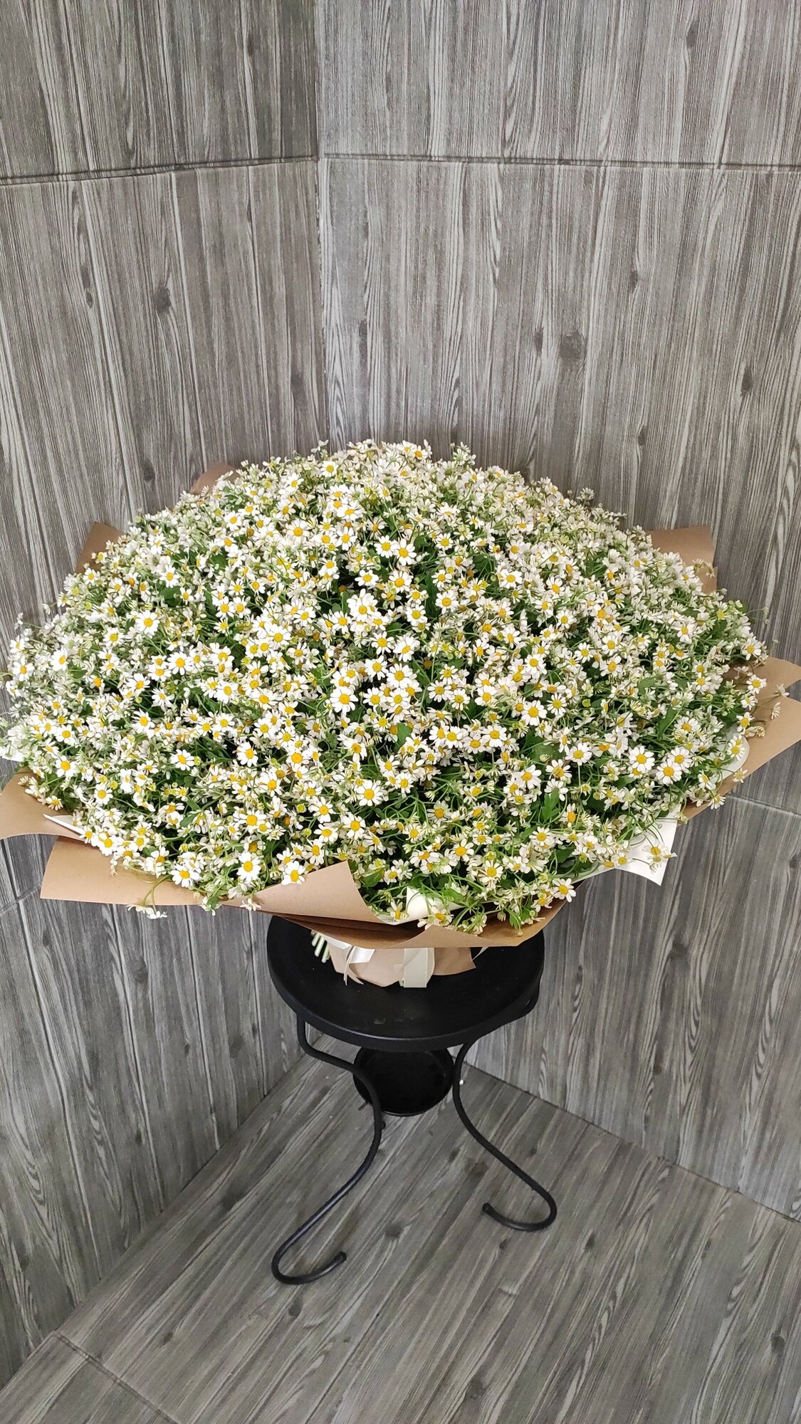 Букет из 151 кустовой ромашки