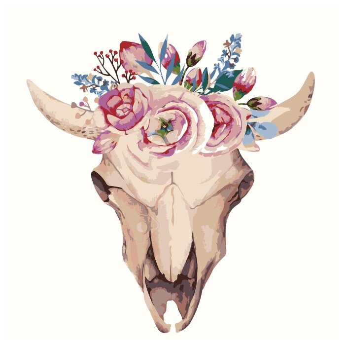 Череп Раскраска картина по номерам на холсте