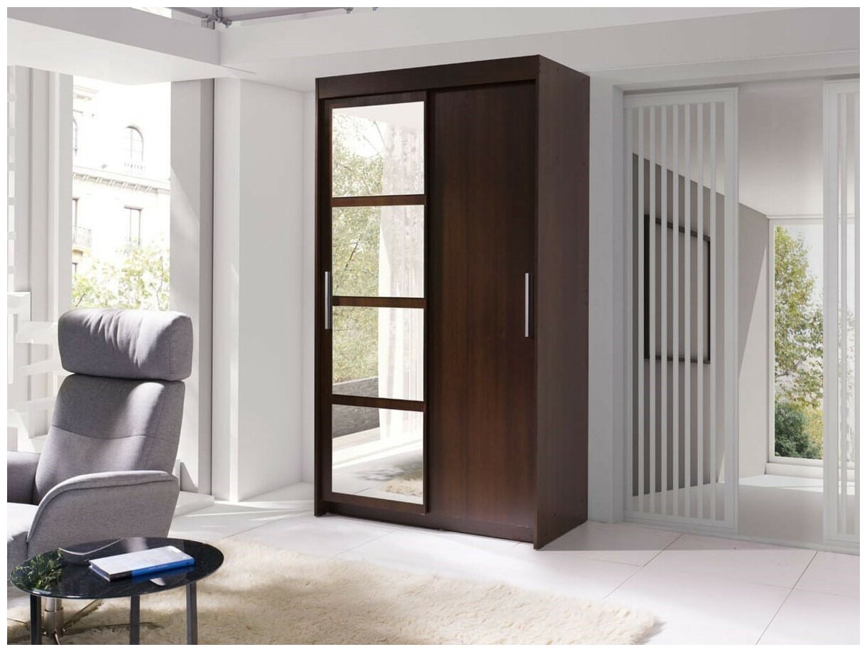 Шкаф-купе Жоржина 2 Венге 854 NEW 100*50*220 см Фиеста Для одежды, в прихожую,