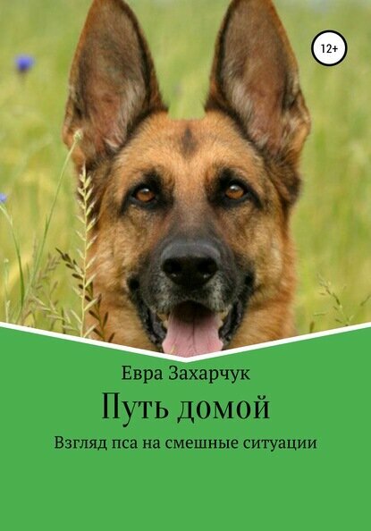 Путь домой [Цифровая книга]