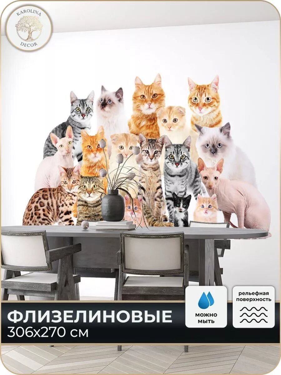 Фотообои Коты в детскую в спальню на кухню 300х270