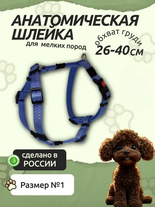 Шлейка для собак мелких пород и кошек анатомическая обхват груди №1 (26-40 см)/обхват шеи (25-35 см), синяя