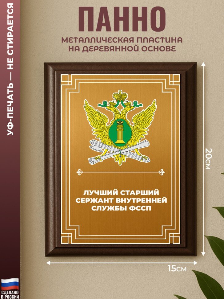 Настенный диплом "Лучший старший сержант внутренней службы фссп"