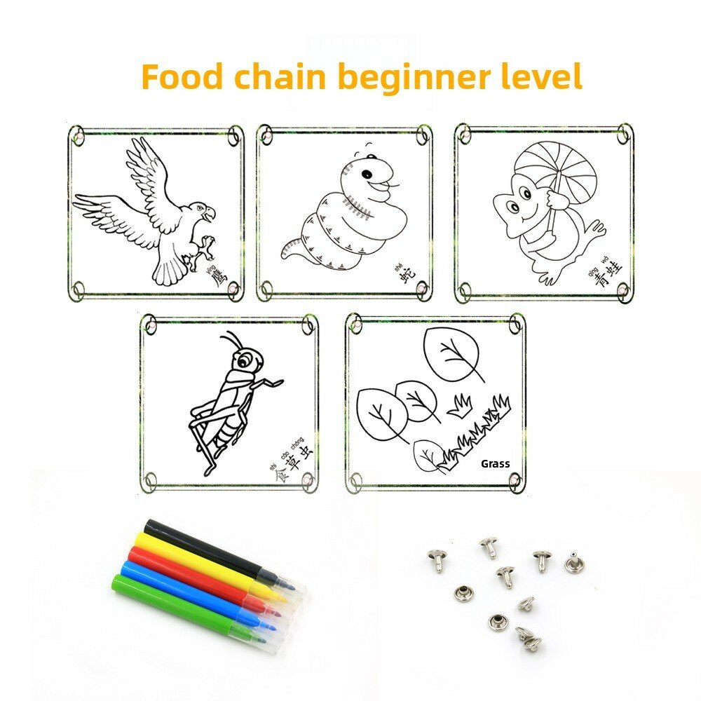 Научный набор для экспериментов цепочка питания для детей образовательное практическое