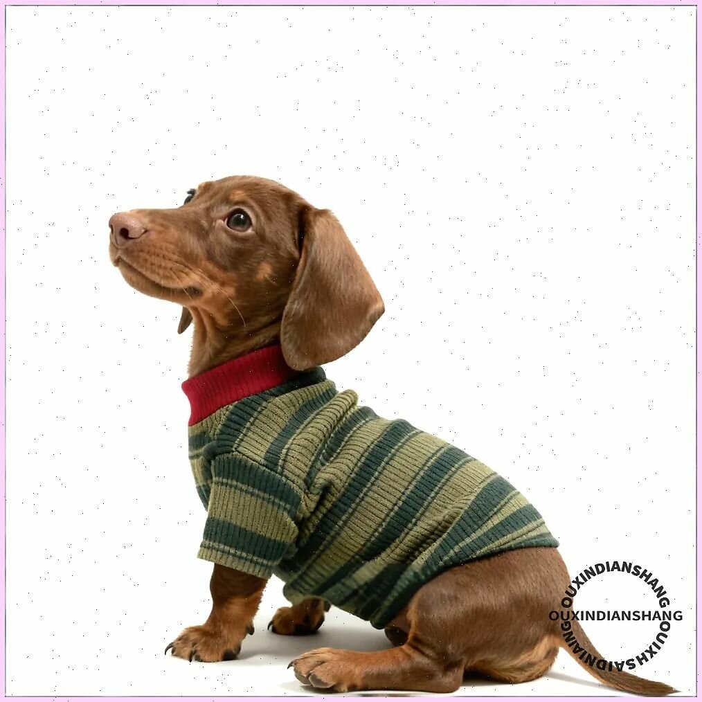 Одежда для таксы