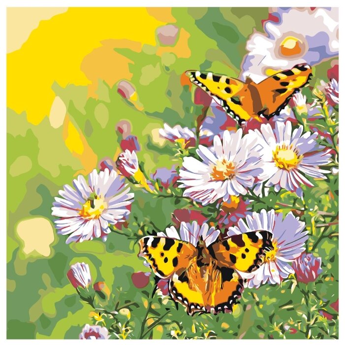 Солнечная полянка Раскраска по номерам на холсте Живопись по номерам