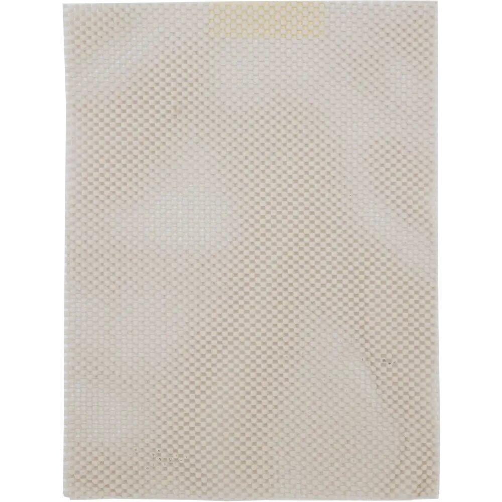 Штора рулонная день-ночь Inspire Peter 40x160 см светло-серая