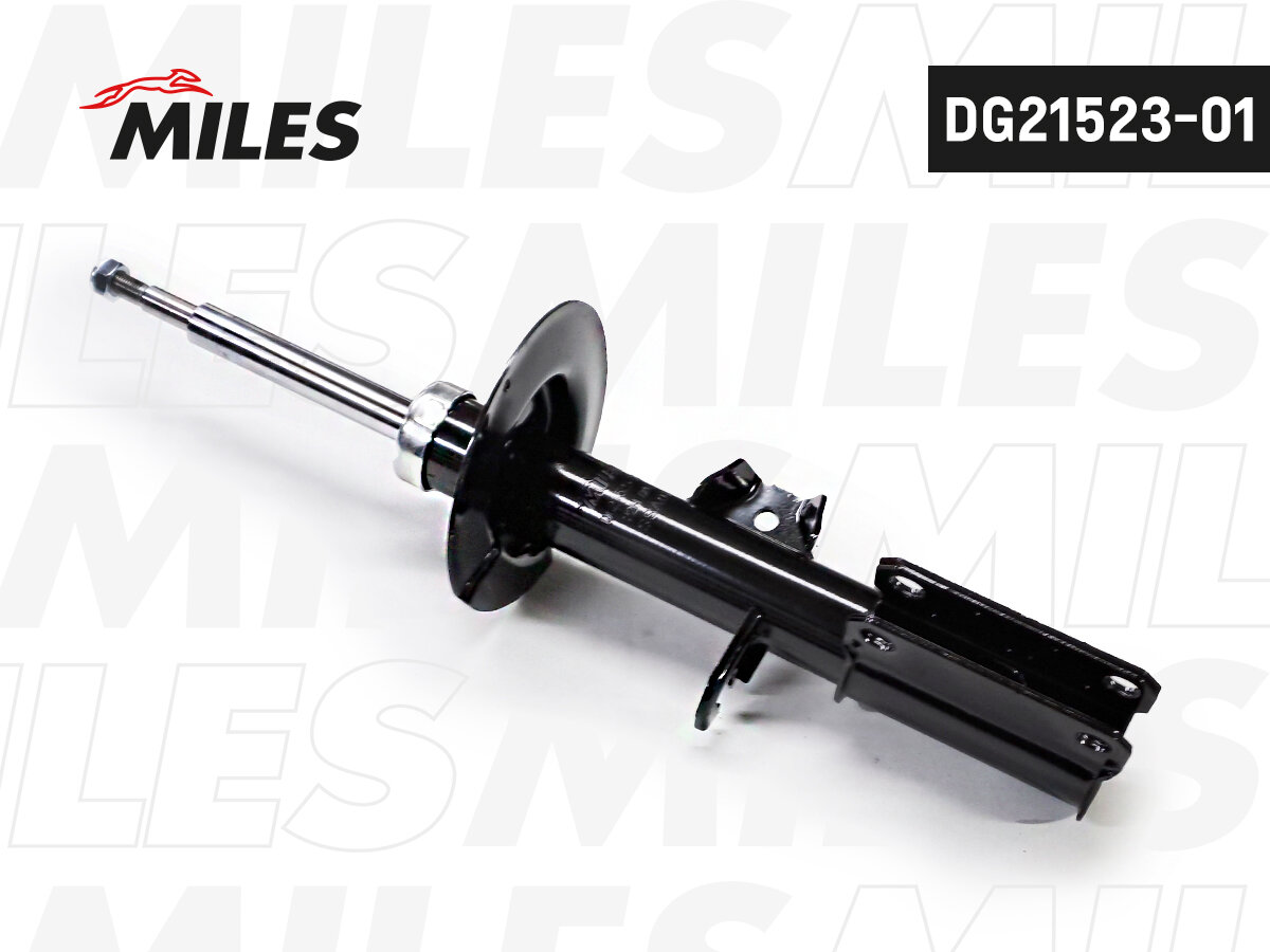 Амортизатор MILES DG2152301 BMW X5 E53 пер. прав. газ. / Miles DG21523