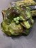 Брошь