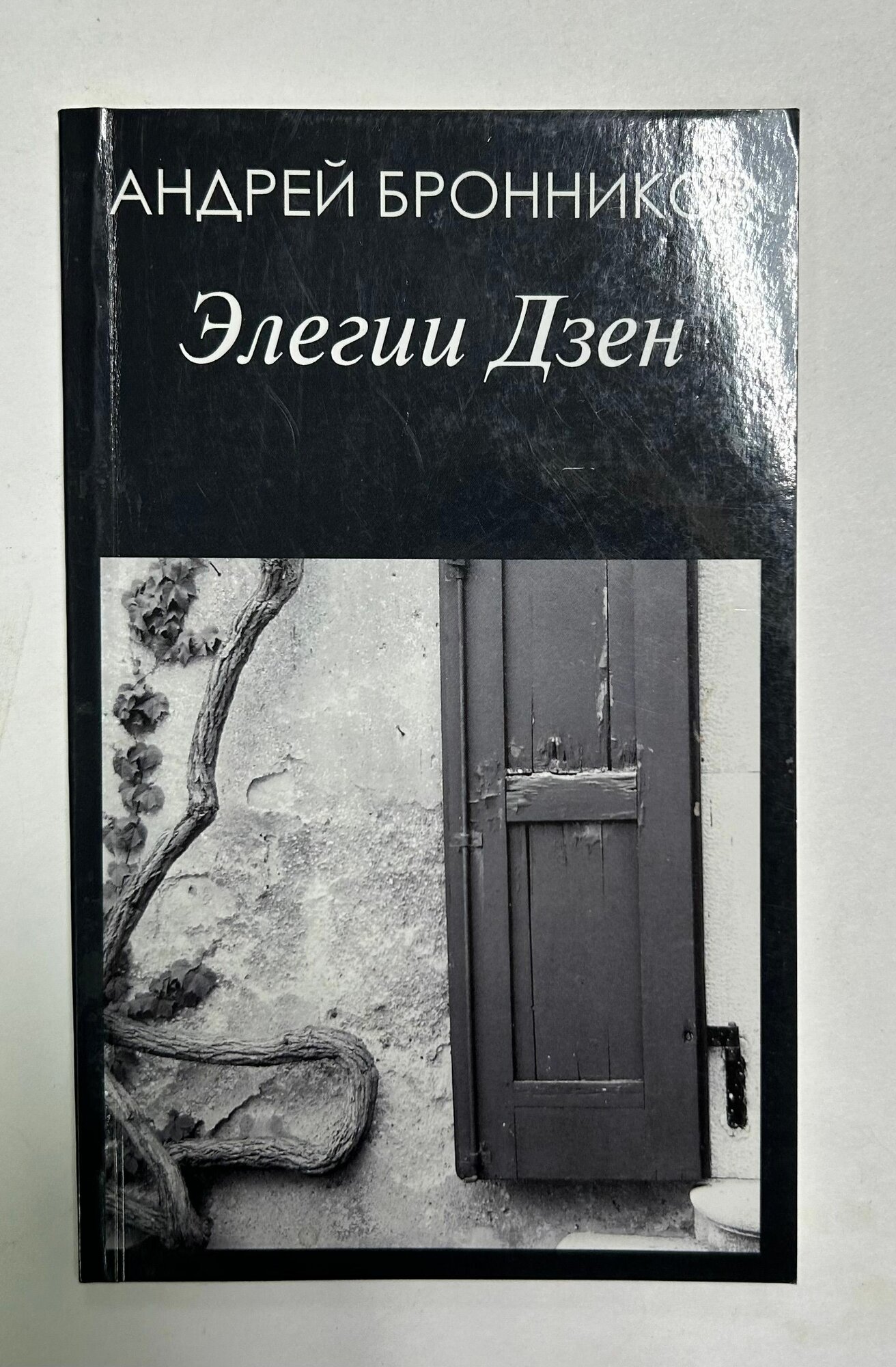 Элегии дзен