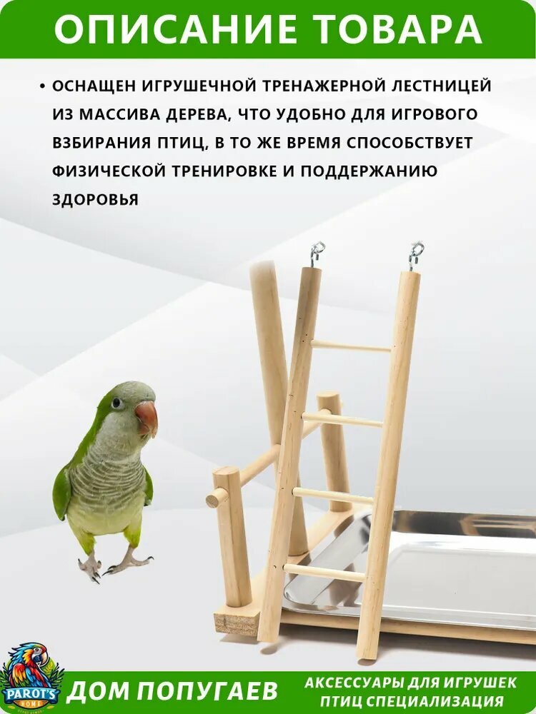 Подставка для клетки, дерево, для маленьких, средних, крупных птиц — фото 1