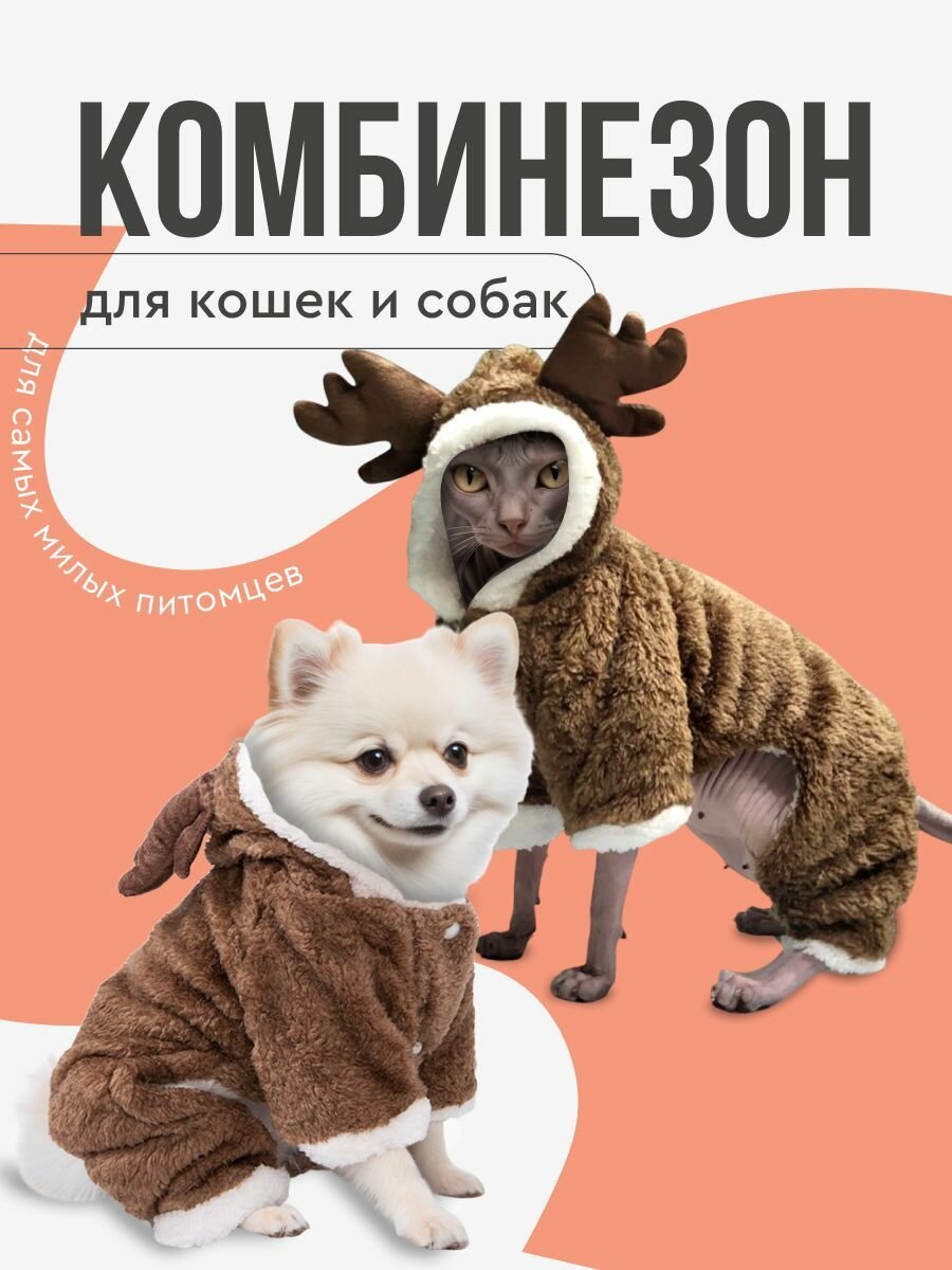 Одежда для собак мелких пород и кошек MiloPets, комбинезон костюм, XXL