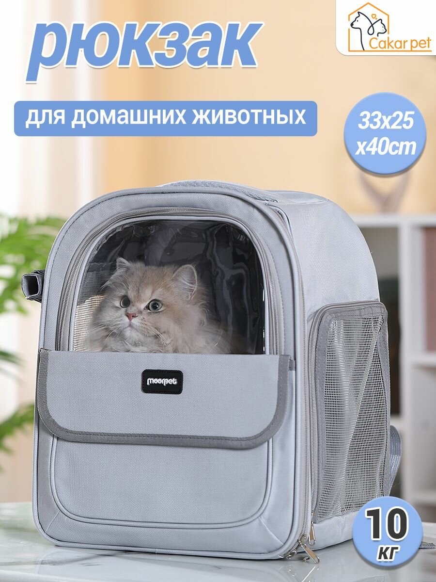 Рюкзак переноска для кошек с иллюминатором, до 10 кг, подходит для кошек и собак