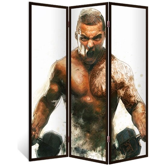 Ширма перегородка Декор Депо для комнаты деревянная "Арена спорта" двухсторонняя с картинкой (спорт) 3 створки венге 176х140 см 11 кг