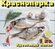 Красноперка", рыба