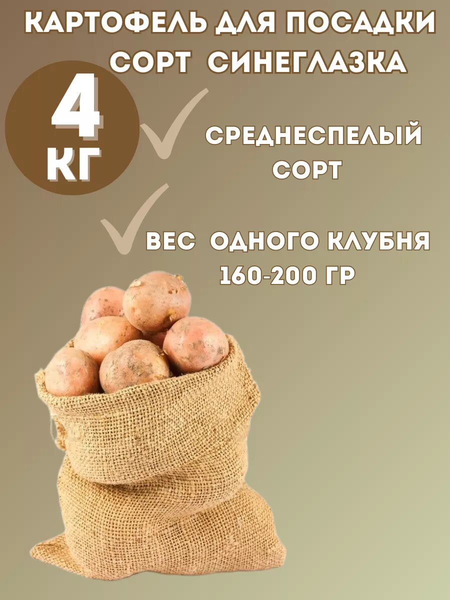 Картофель семенной "Синеглазка" 4 кг