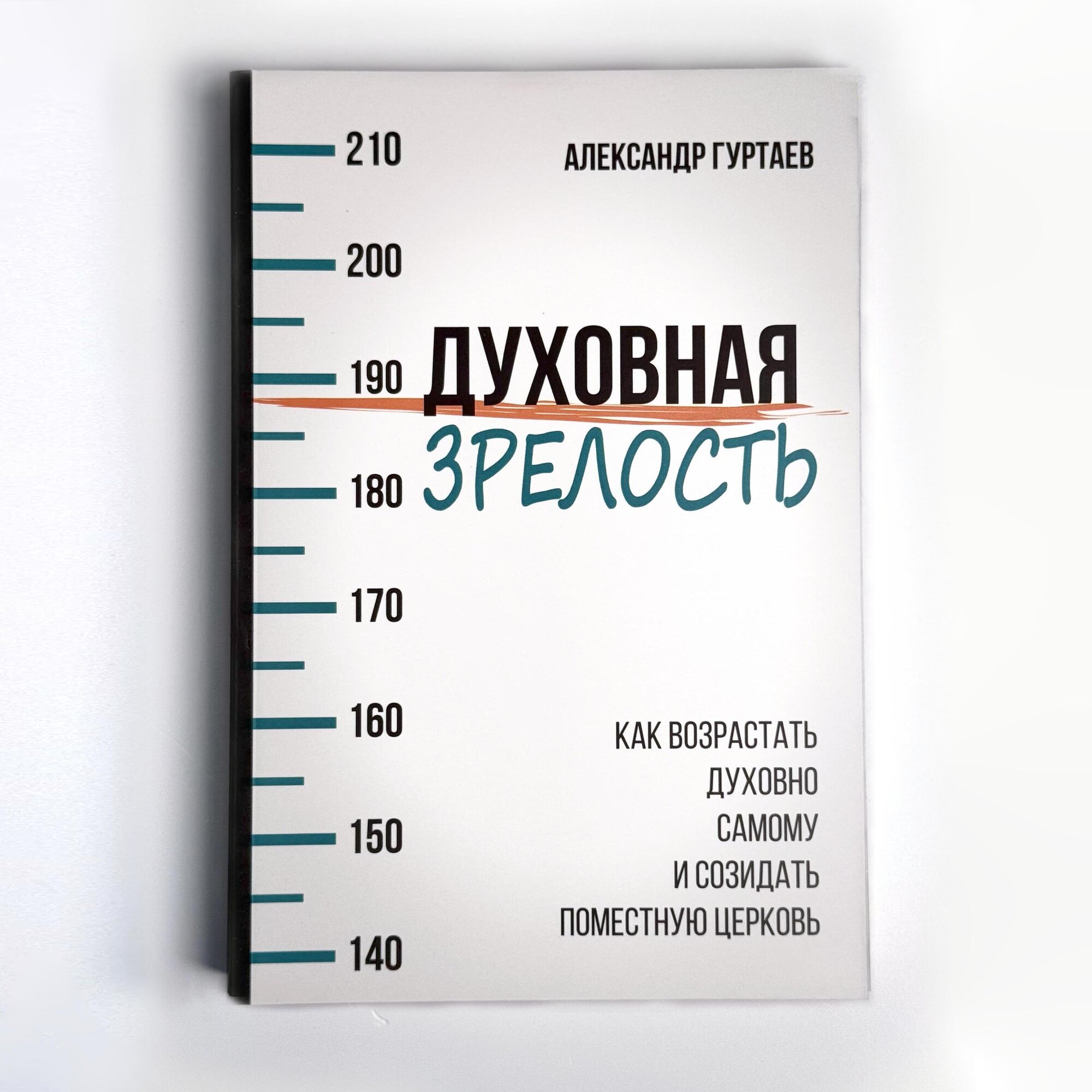 Духовная зрелость. Как возрастать духовно самому и созидать поместную церковь