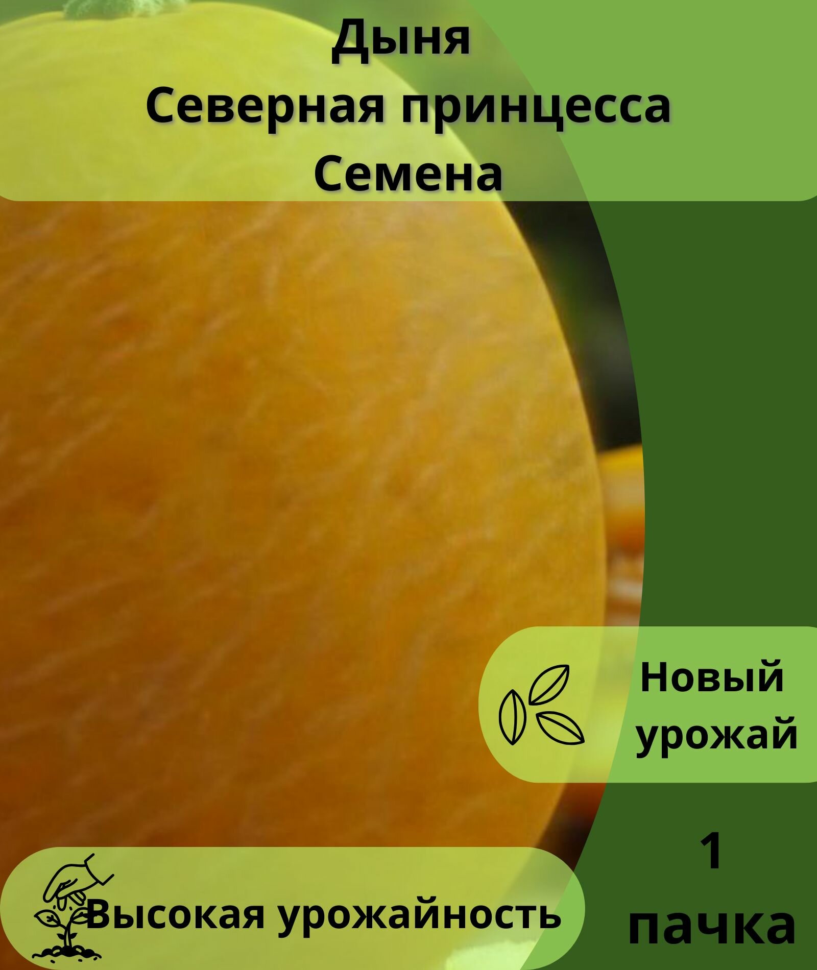 Дыня Северная принцесса , семена 10шт