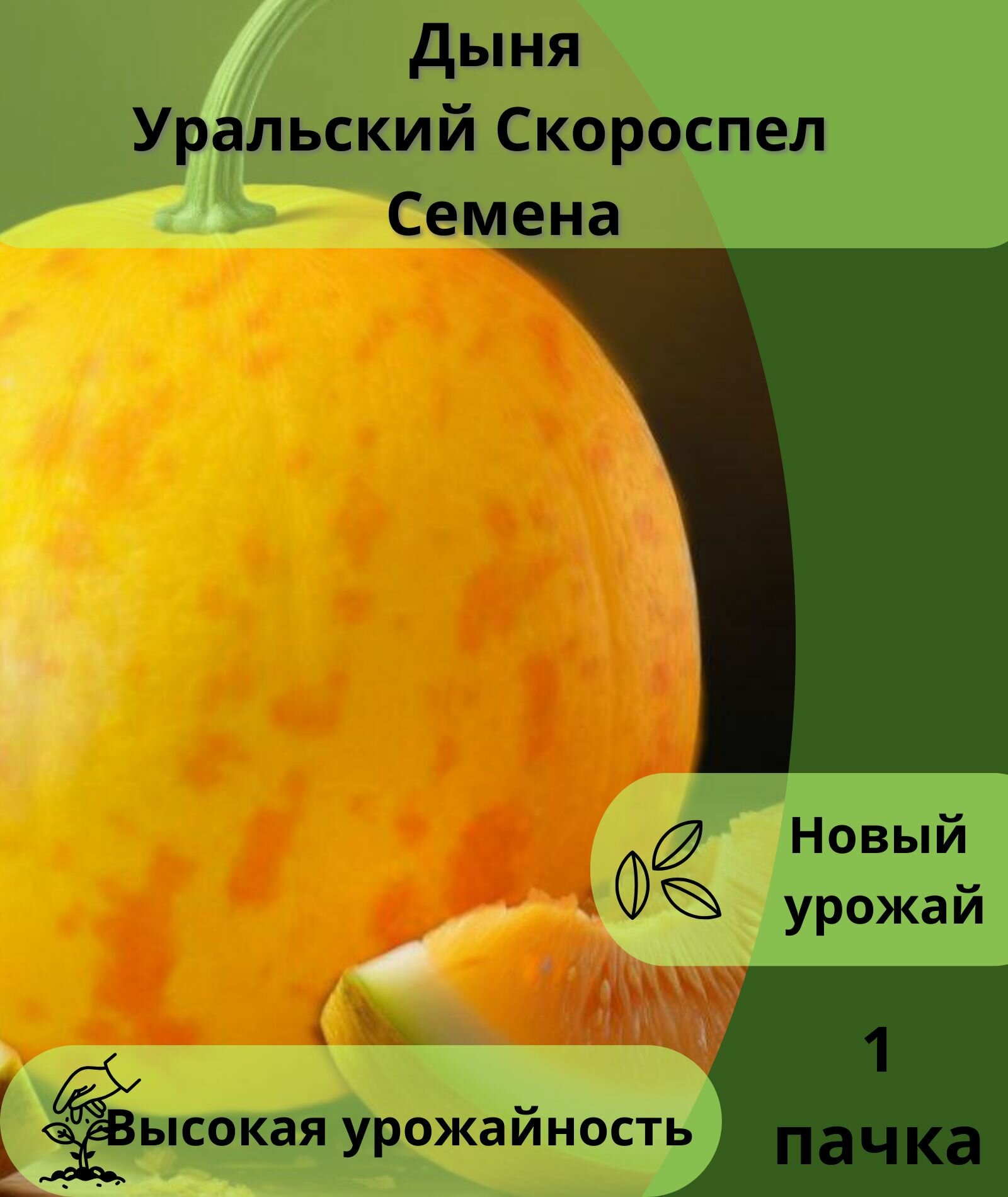 Дыня Уральский Скороспел, семена 10шт