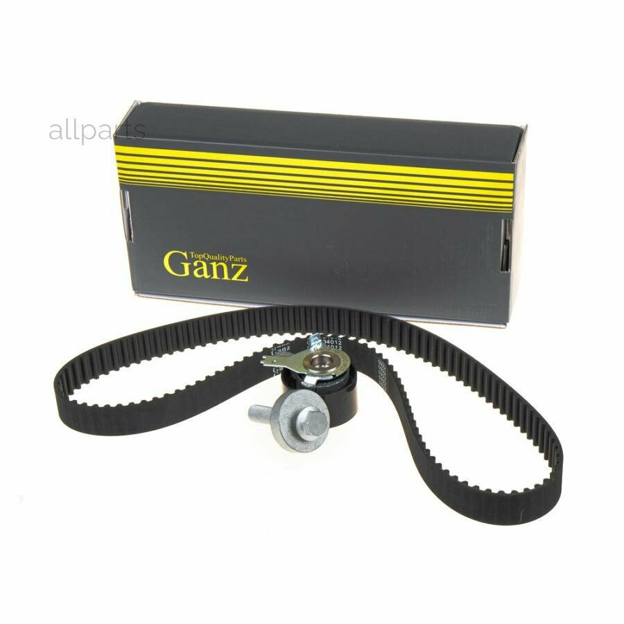 GANZ GIE34012 Ремкомплект ГРМ для RENAULT GANZ GIE34012