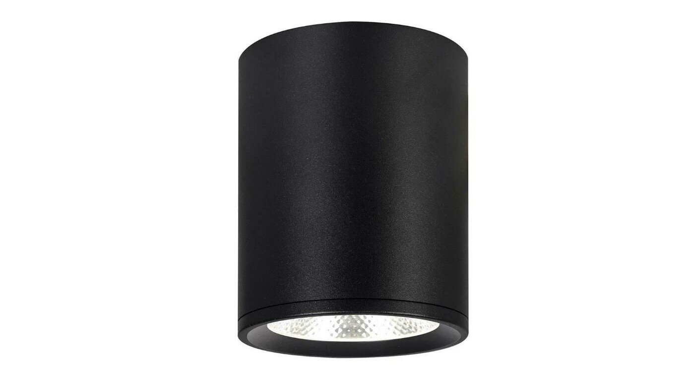 Потолочный светодиодный светильник Escada 20003SMU/02LED SBK