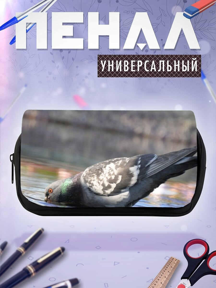 Школьный пенал почтовый голубь птица