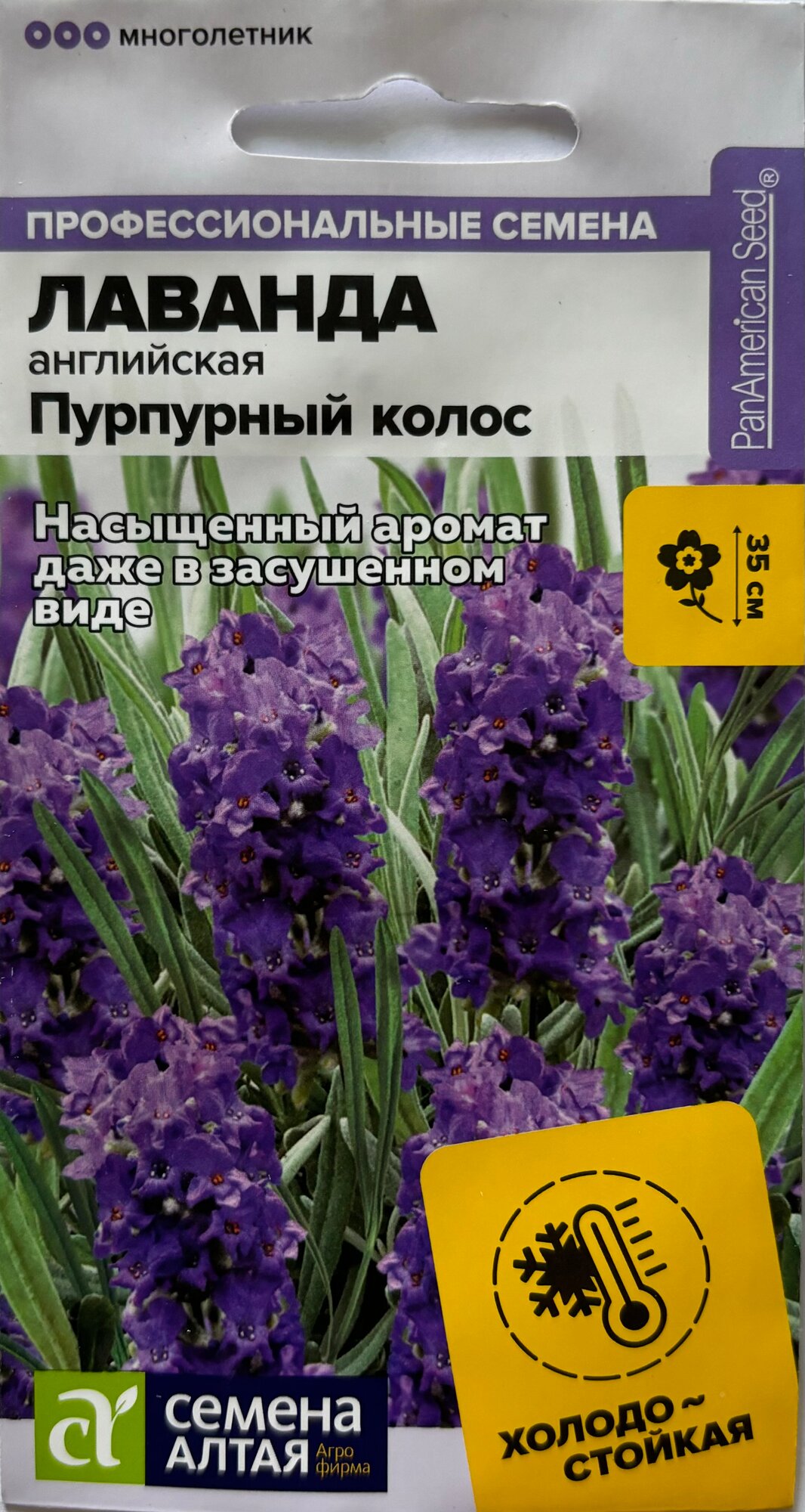 Семена Лаванды английской "Пурпурный колос" (5 семян)