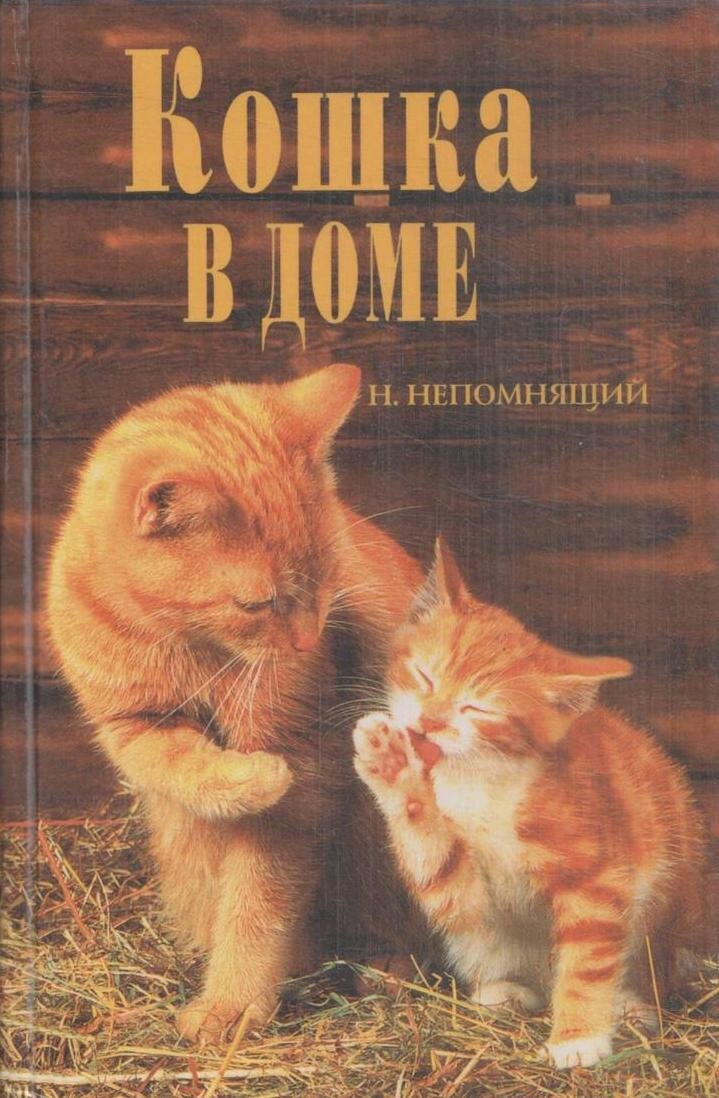 Кошка в доме