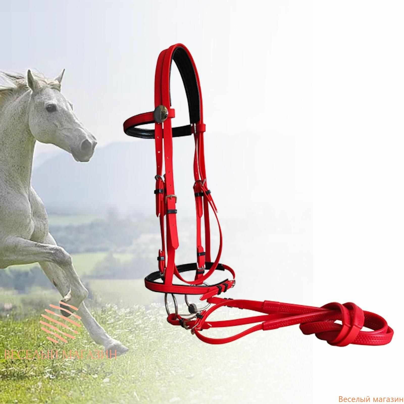Повод для лошади