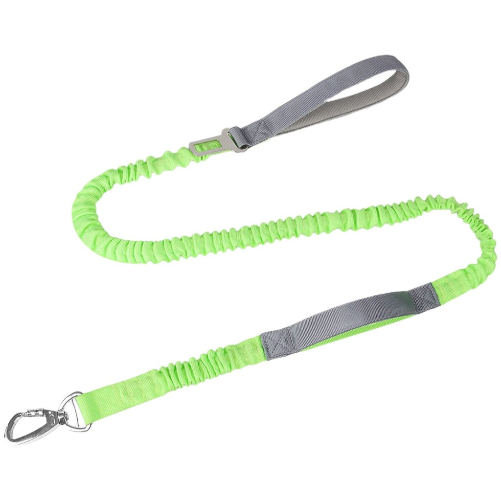 Большие поводки Doga используют рефлексивные собаки для ночной ходьбы