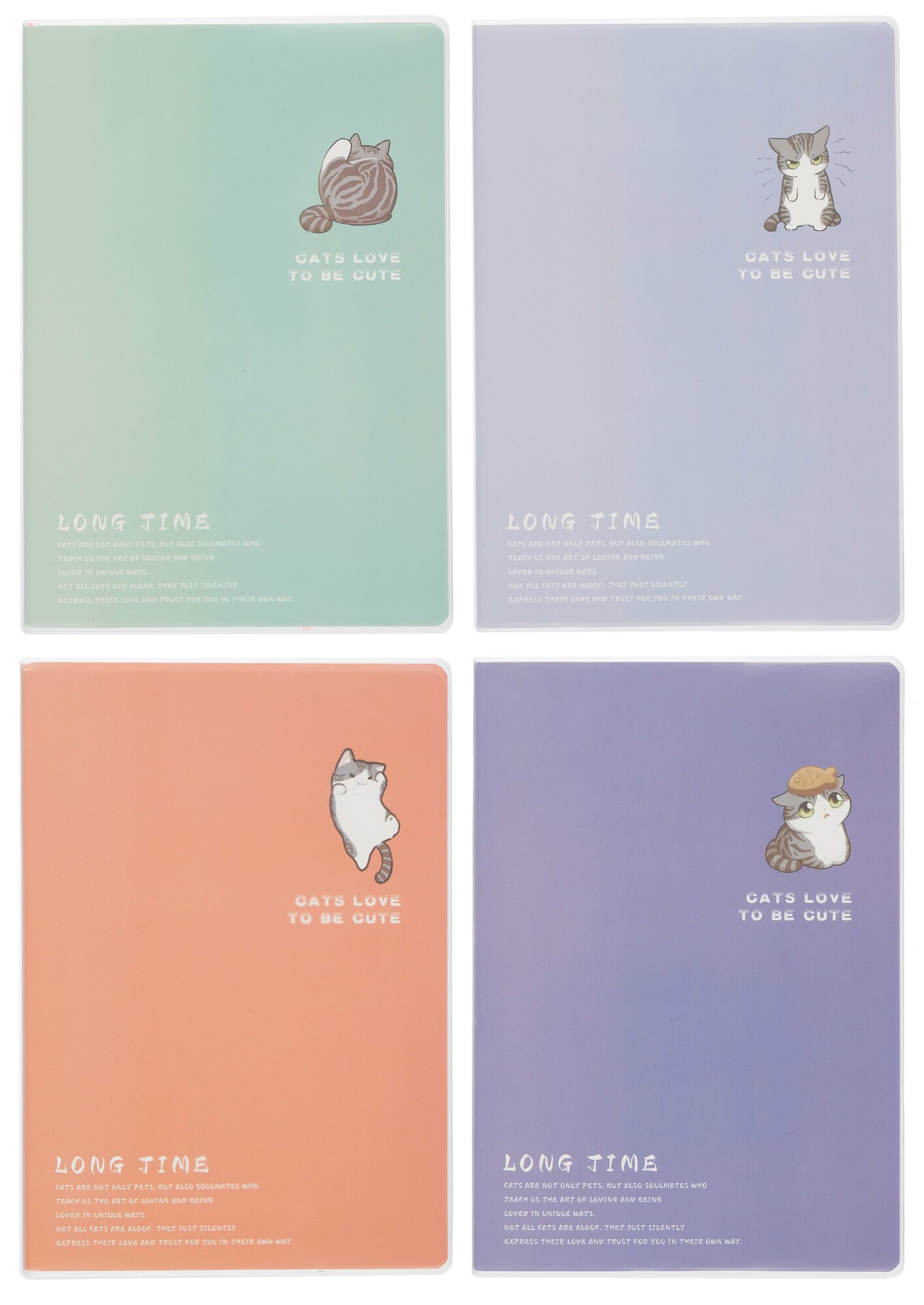 Тетрадь в клетку "Котики", 64 листа, в ассортименте