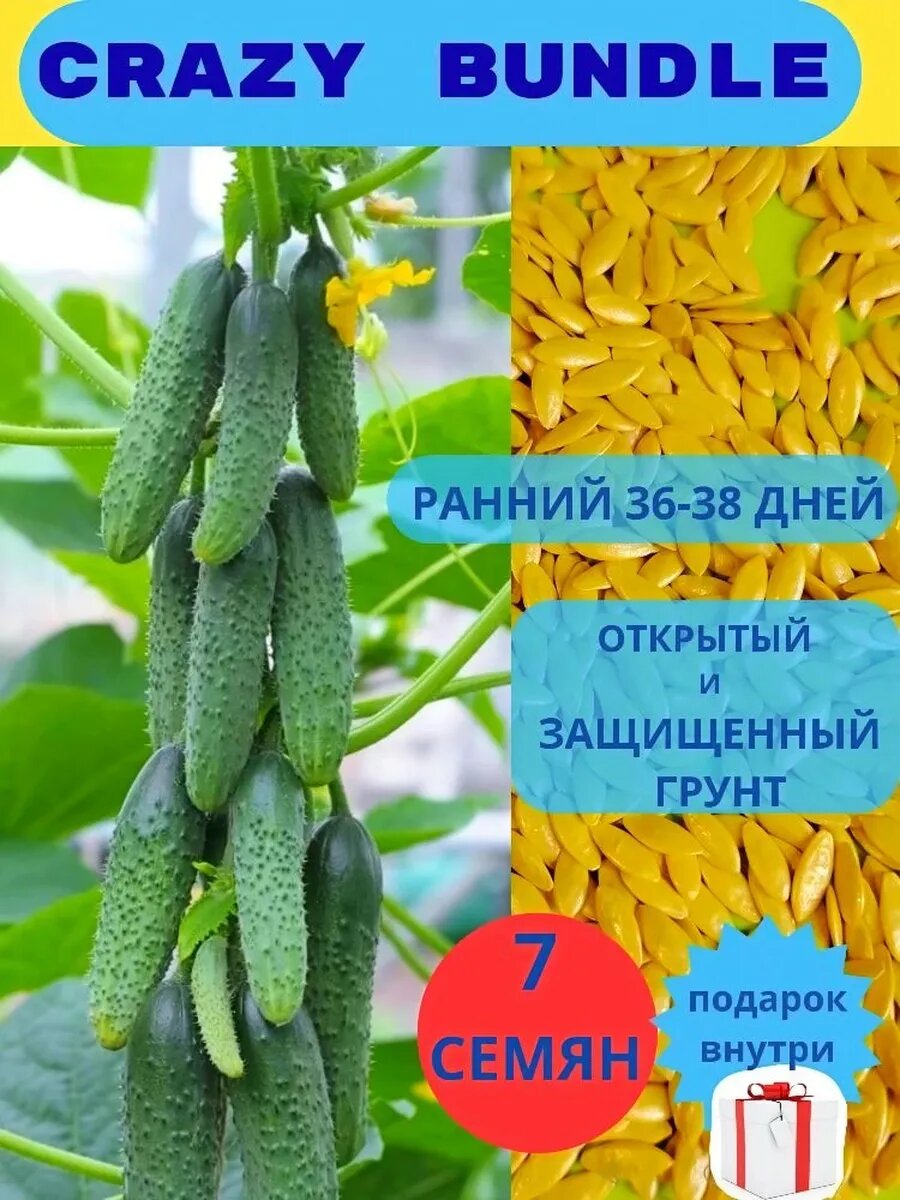 Огурец самоопыляемый, Crazy bundle F1 7 шт