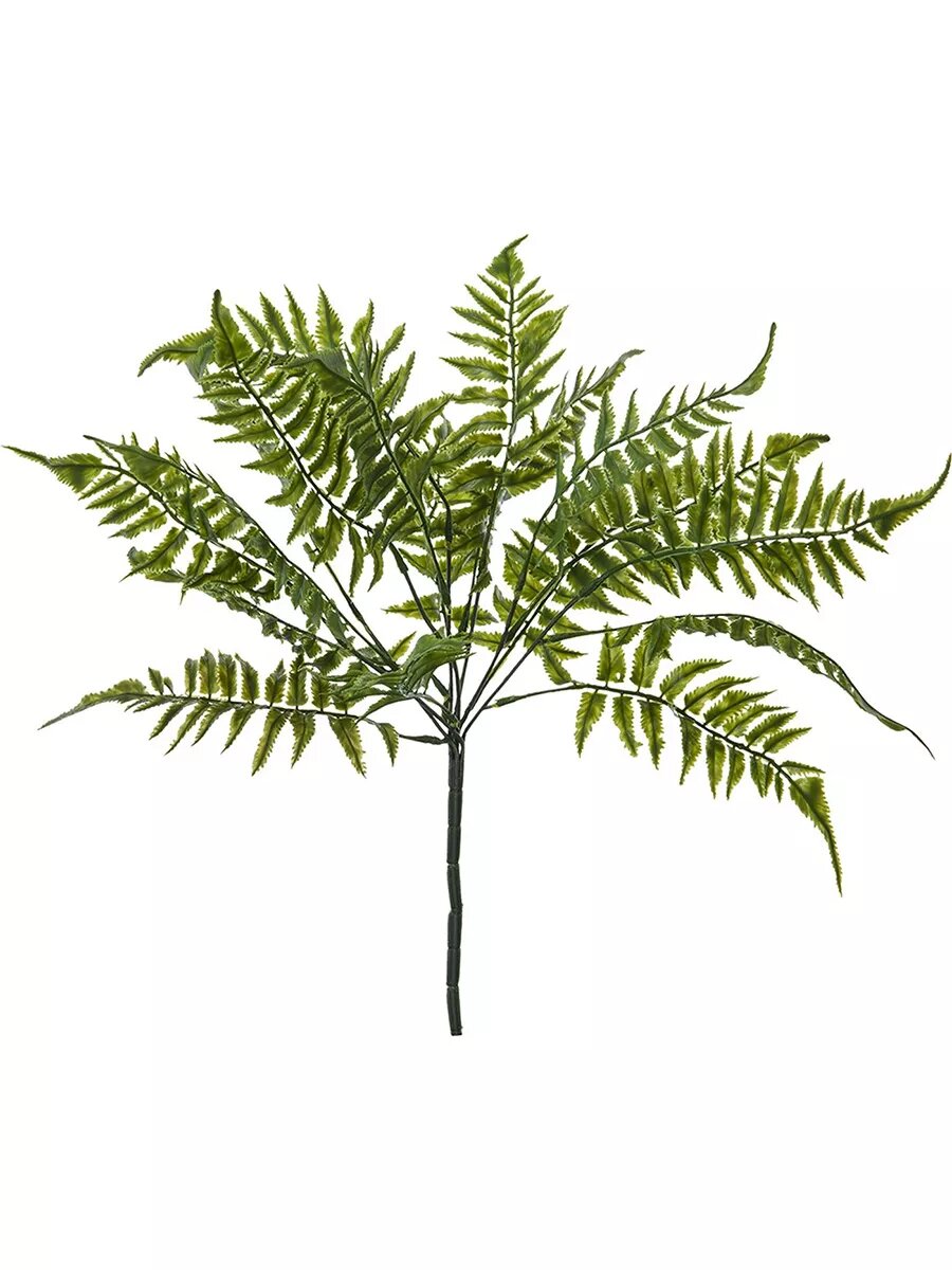 Растение декоративное Glasar Папоротник 25х25х30 см