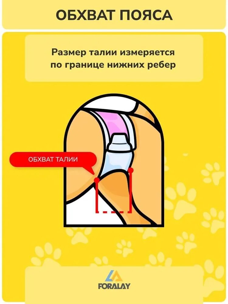 Подгузники для кобелей DONO, Размер M, 48 шт, Обхват талии 45-63 см, Объем впитывания 360 мл — фото 1
