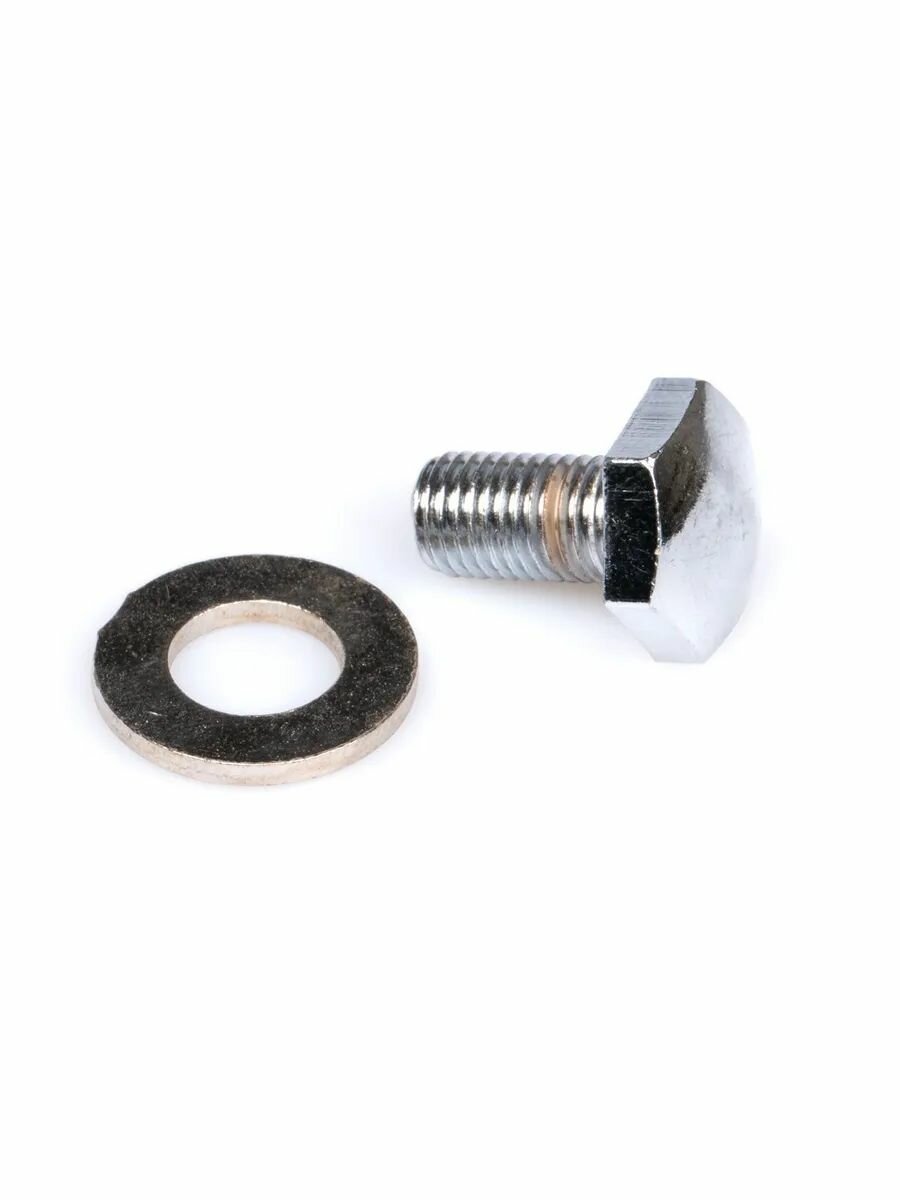 Болт М10х18х1,25 пера Alpha, Delta, Zodiak