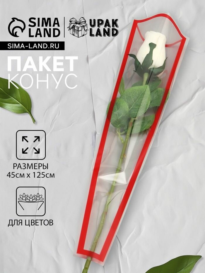 Пакет конус для цветов, Кайма , 12.5 4 45 1 см, красный