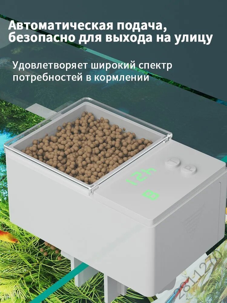 Автокормушка — фото 1
