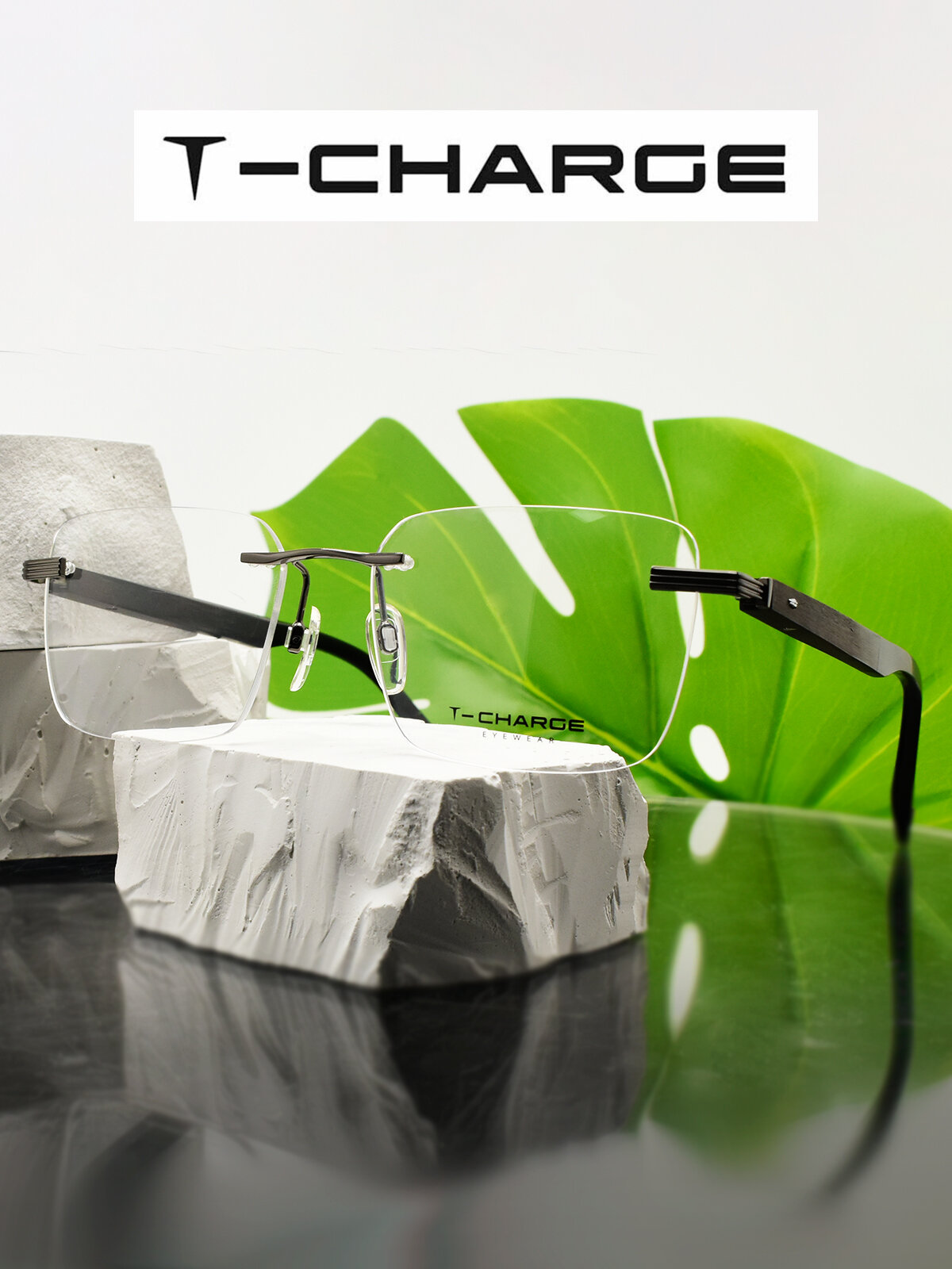 Оправа для очков T-Charge T1442 02A пол Мужской форма оправы Квадратная цвет оправы Коричневый