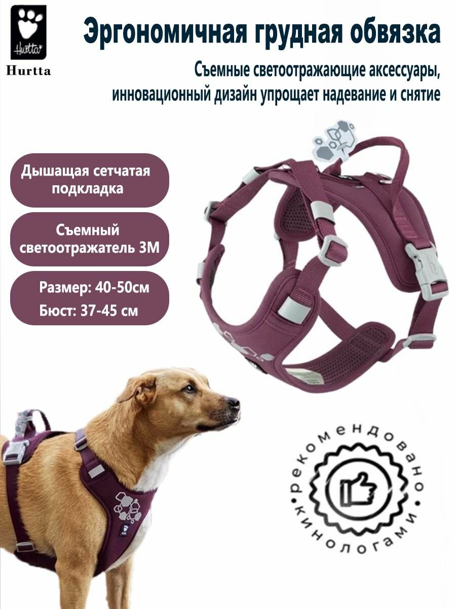 Шлейка Hurtta, для собак, регулируемая, прочная и экологичная, фиолетовая, 37-45 см
