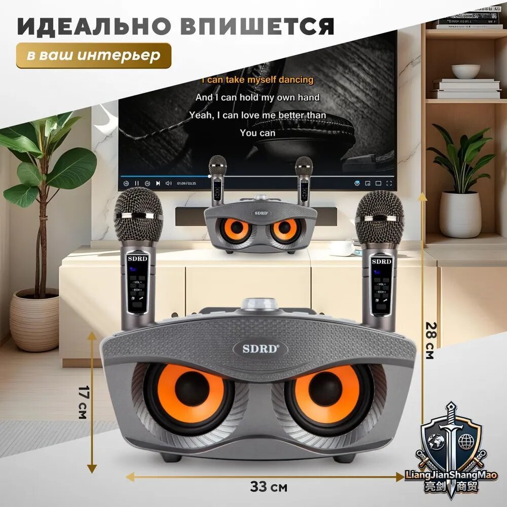 SDRD SD-306 Plus Беспроводная караоке-система с радиомикрофонами фиолетового цвета — фото 1