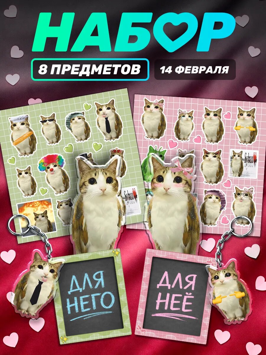 Подарочный бокс на 14 февраля Meowl Коты Тик ток