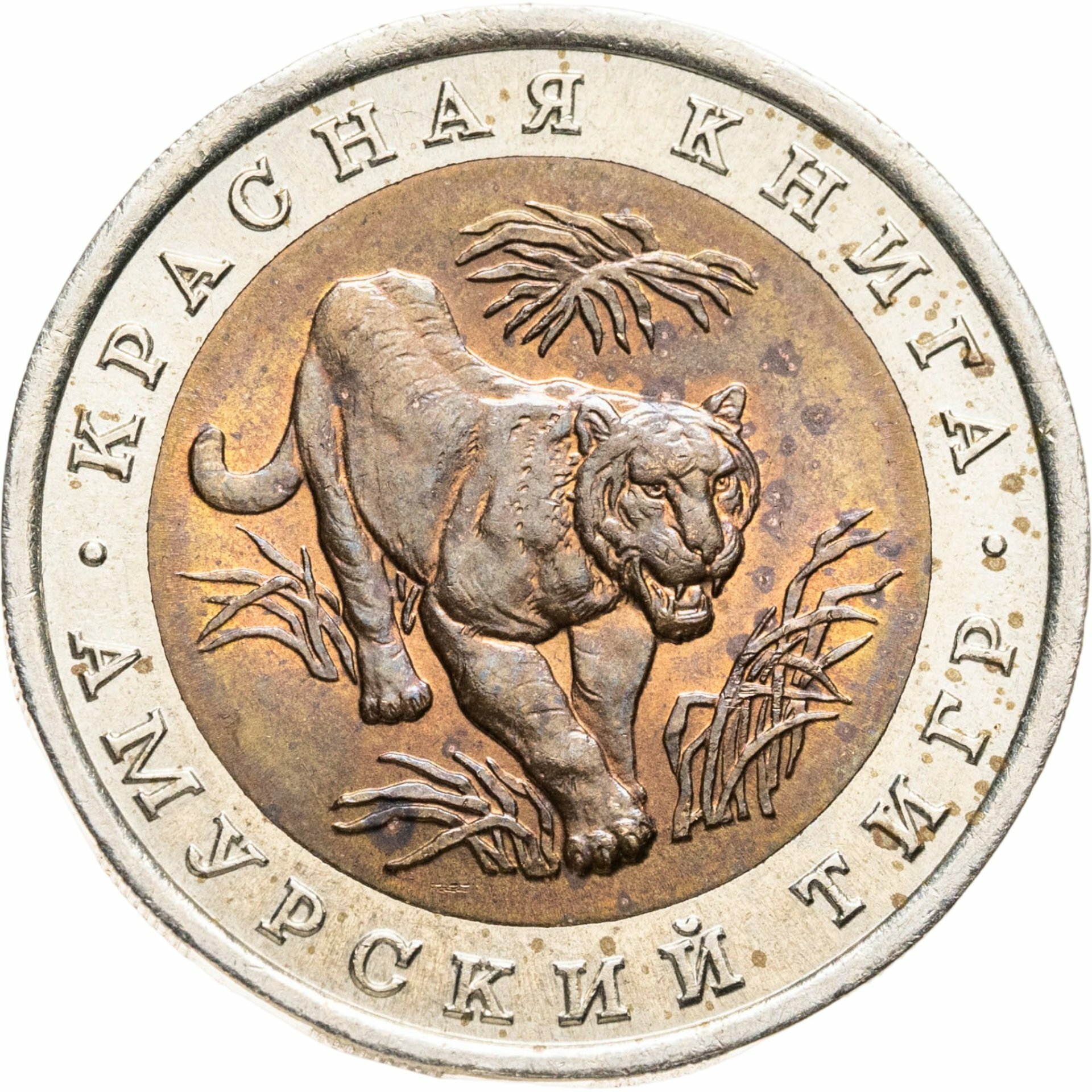 10 рублей 1992 ЛМД "Амурский тигр", Биметалл, в сохранности AU-UNC