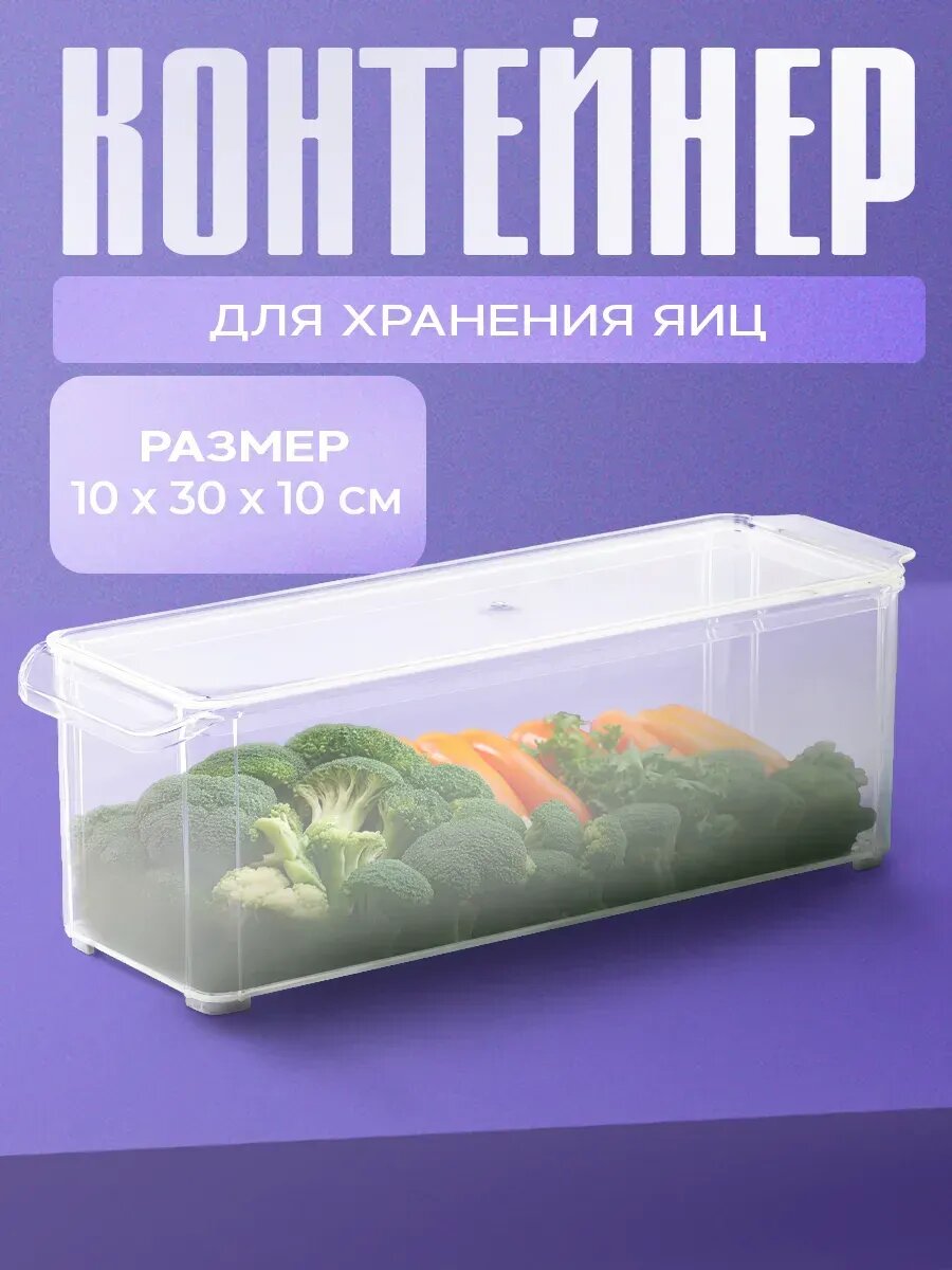 Контейнер для хранения с крышкой пластиковый 10 х 30 х 10 см