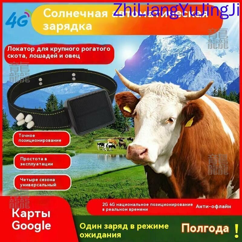 Водонепроницаемый трекер для крупного рогатого скота, овец и лошадей 4G, Charged version