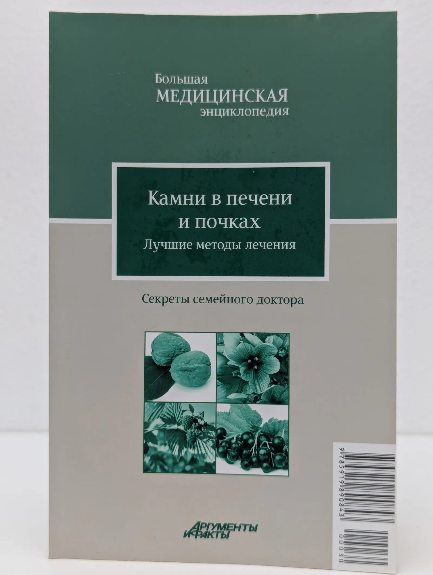 Большая медицинская энциклопедия. Камни в печени и почках. Лучшие методы лечения Смирнова М. В. 2012