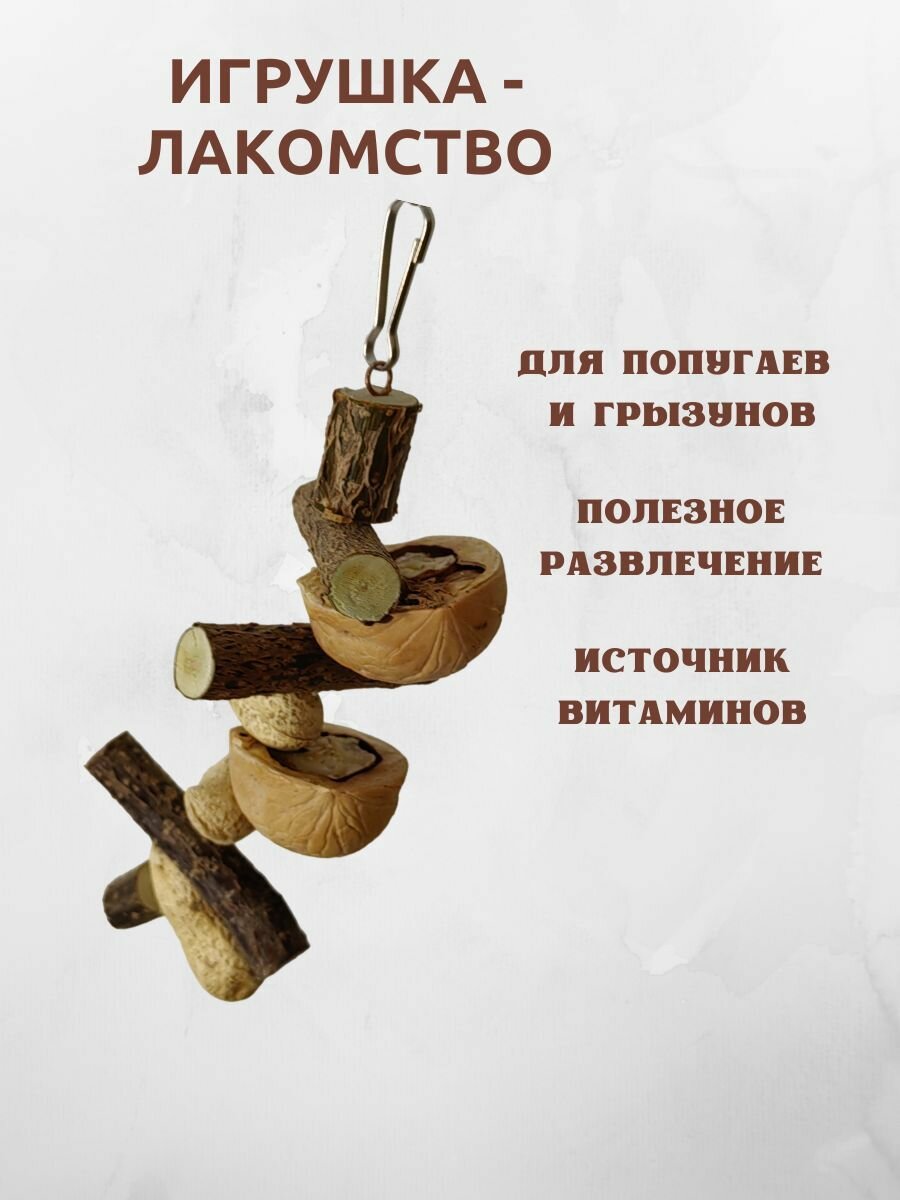 Игрушка для грызунов, кроликов, хомяков, крыс, шиншилл