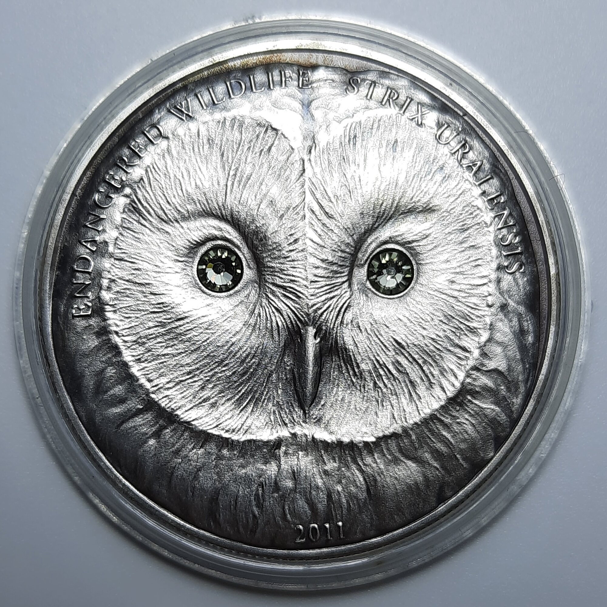 Монета серебряная Монголия 500 тугриков 2011 тугриков Длиннохвостая неясыть